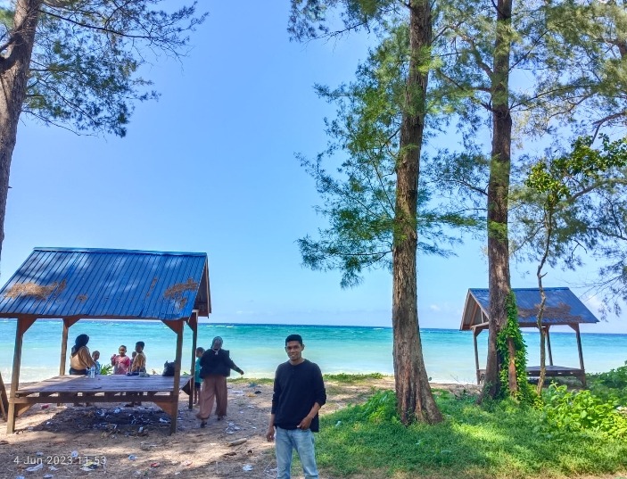 Perpaduan Keindahan Pantai dan Hutan Pinus yang Belum Terjamah ...